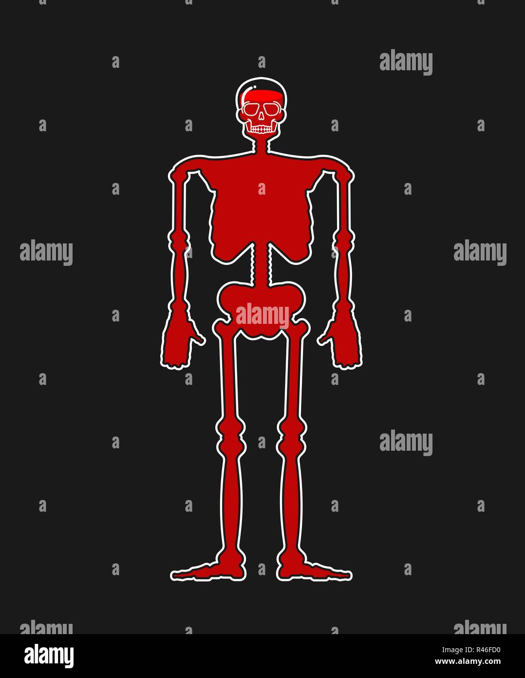 Transparent human anatomy model glass Stock Vector Images - Alamy