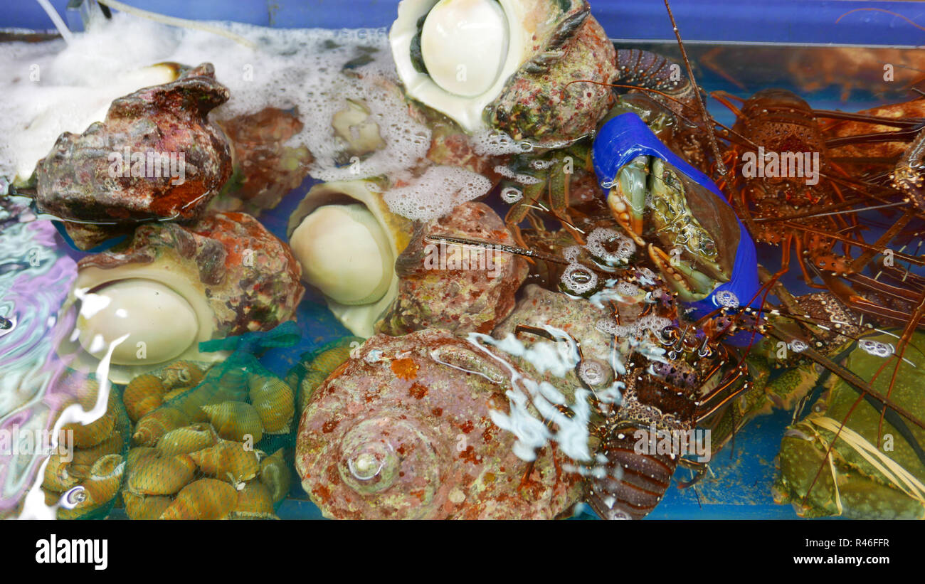 Shellfish, lobster, shell in wet market Stock Photo - Alamy
