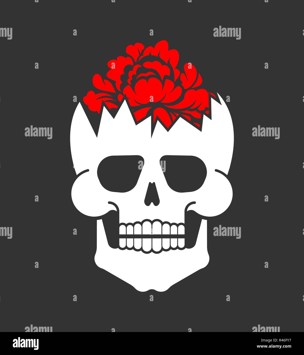 Flower inside skull. Broken skeleton head. Vector Stock Vector Image ...