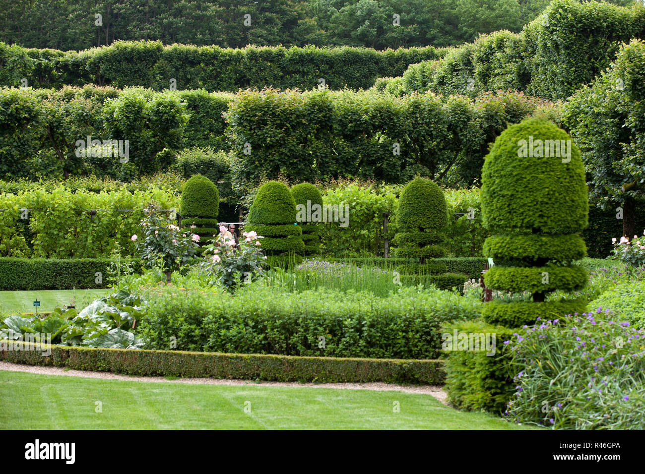Splendid, decorative gardens at castles in the Valley of Loire Stock ...