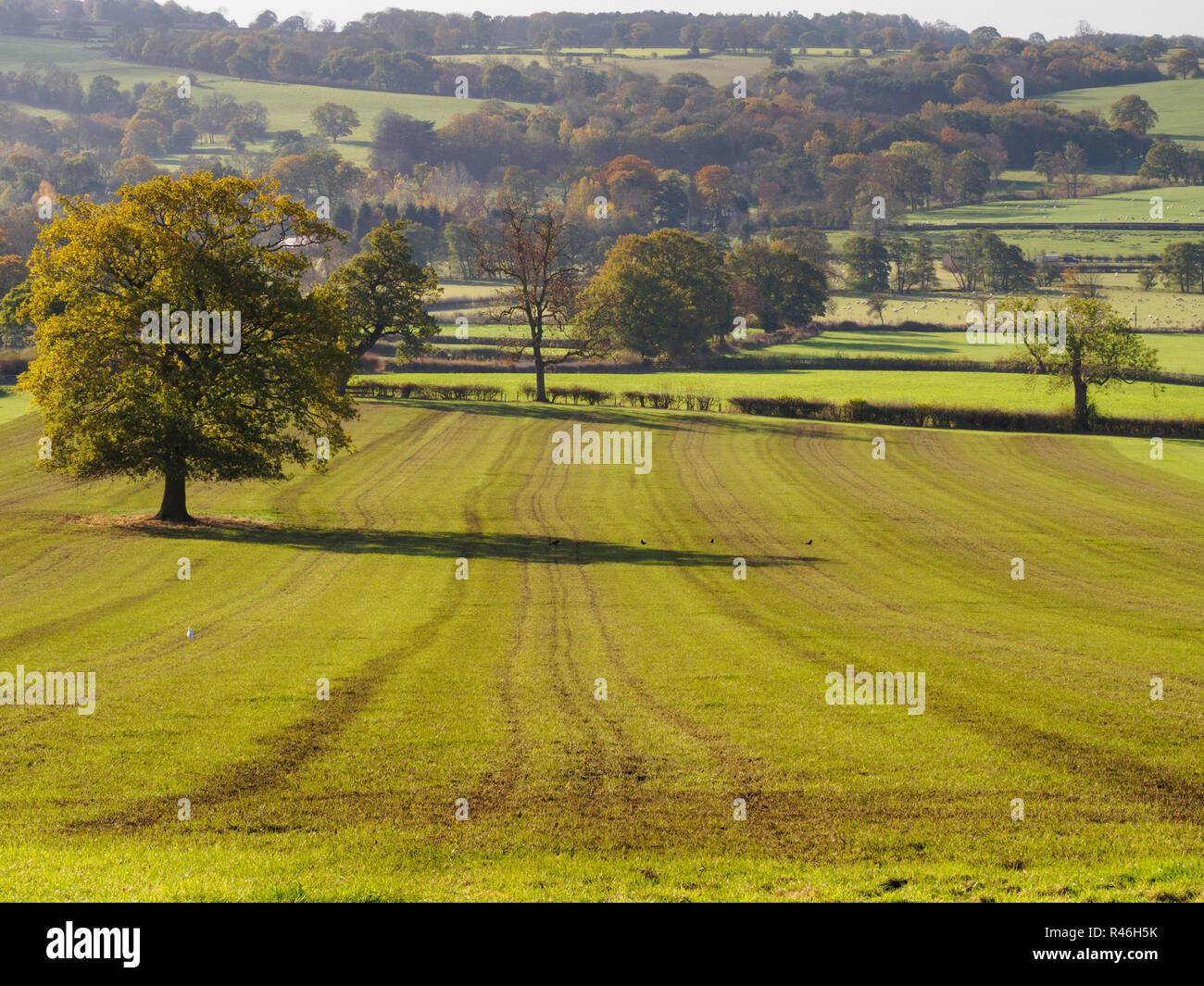 Duffield, derbyshire hi-res stock photography and images - Alamy