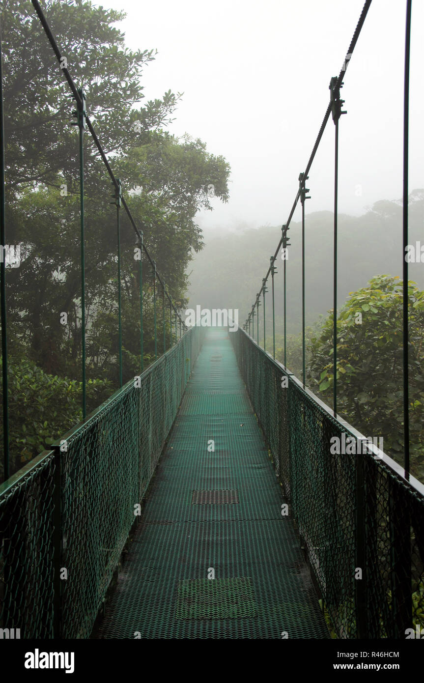 Rain rainforest bridge wood hi-res stock photography and images - Alamy