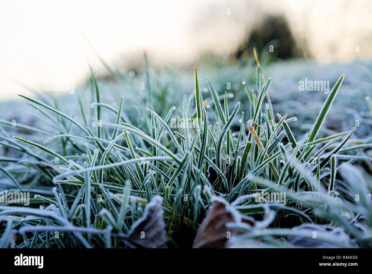 Wintertide hi-res stock photography and images - Alamy