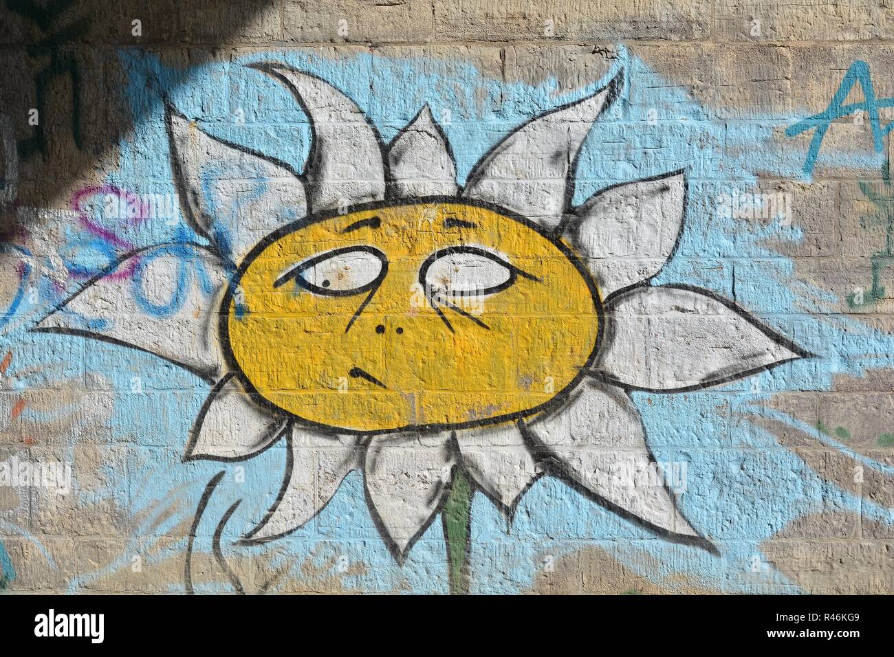 Sunflower graffiti hi-res stock photography and images - Alamy