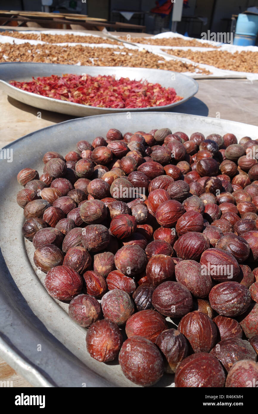 Dried nutmeg seeds Stock Photo - Alamy