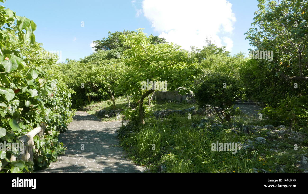 mountain footpath in springtime Stock Photo - Alamy