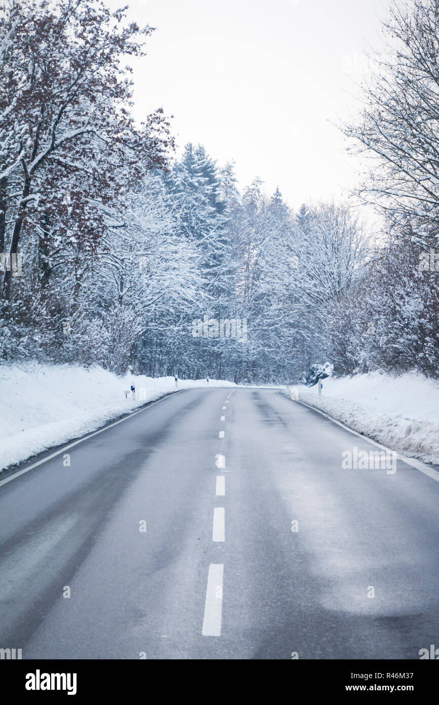 Cold winter road with wonderful white snow covered forest trees Stock ...
