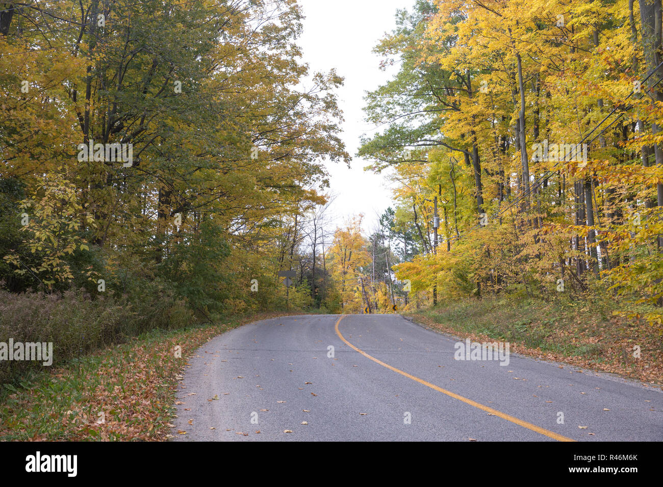 COUNTRY ROAD ON FALL DAY OUTSIDE MILTON, ONTARIO. ONE HOUR NORTH OF ...
