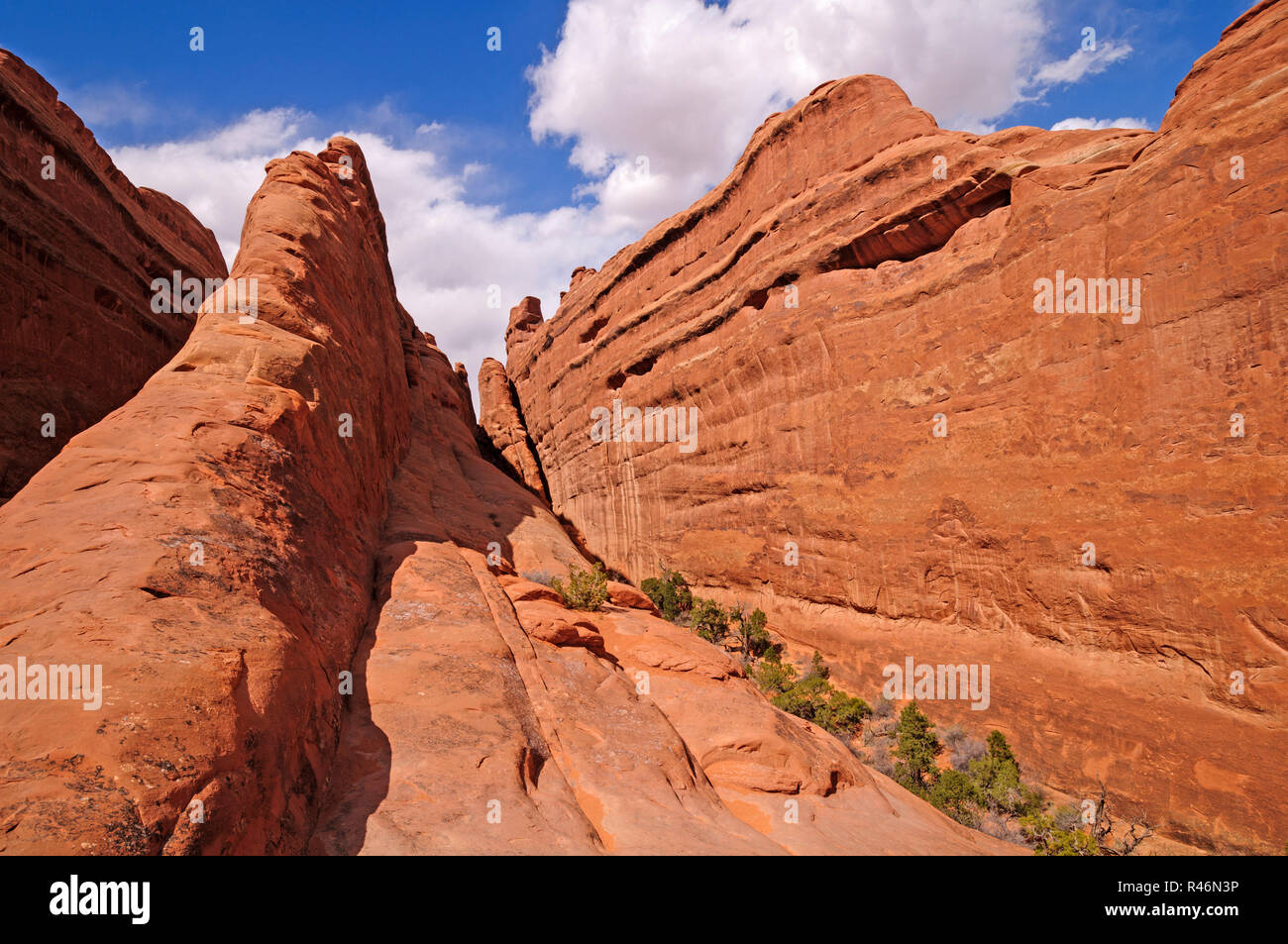 Hidden in rock wall hi-res stock photography and images - Alamy