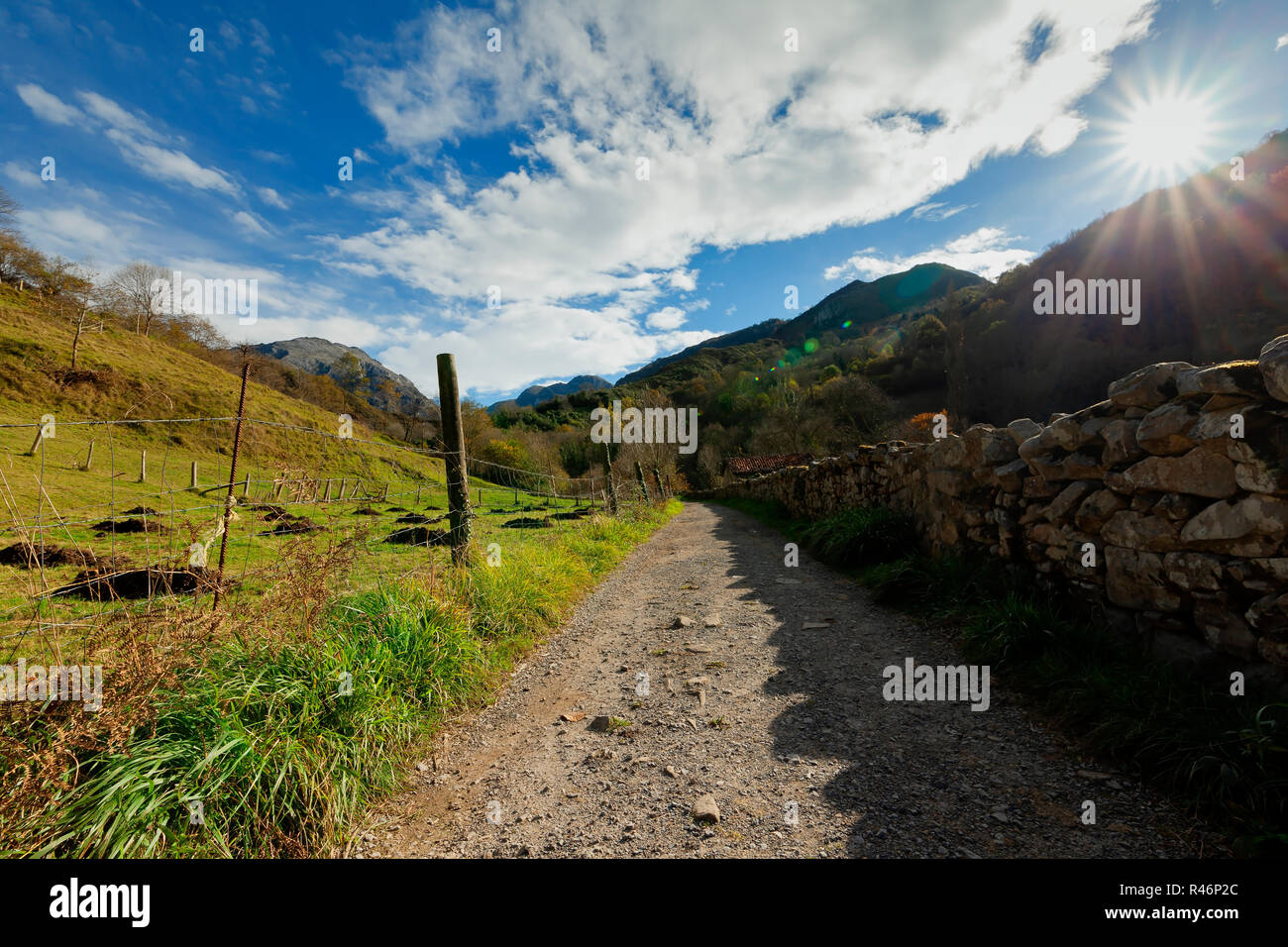 Autumnal landscape of Spain with a rural road crossing the forest Stock ...
