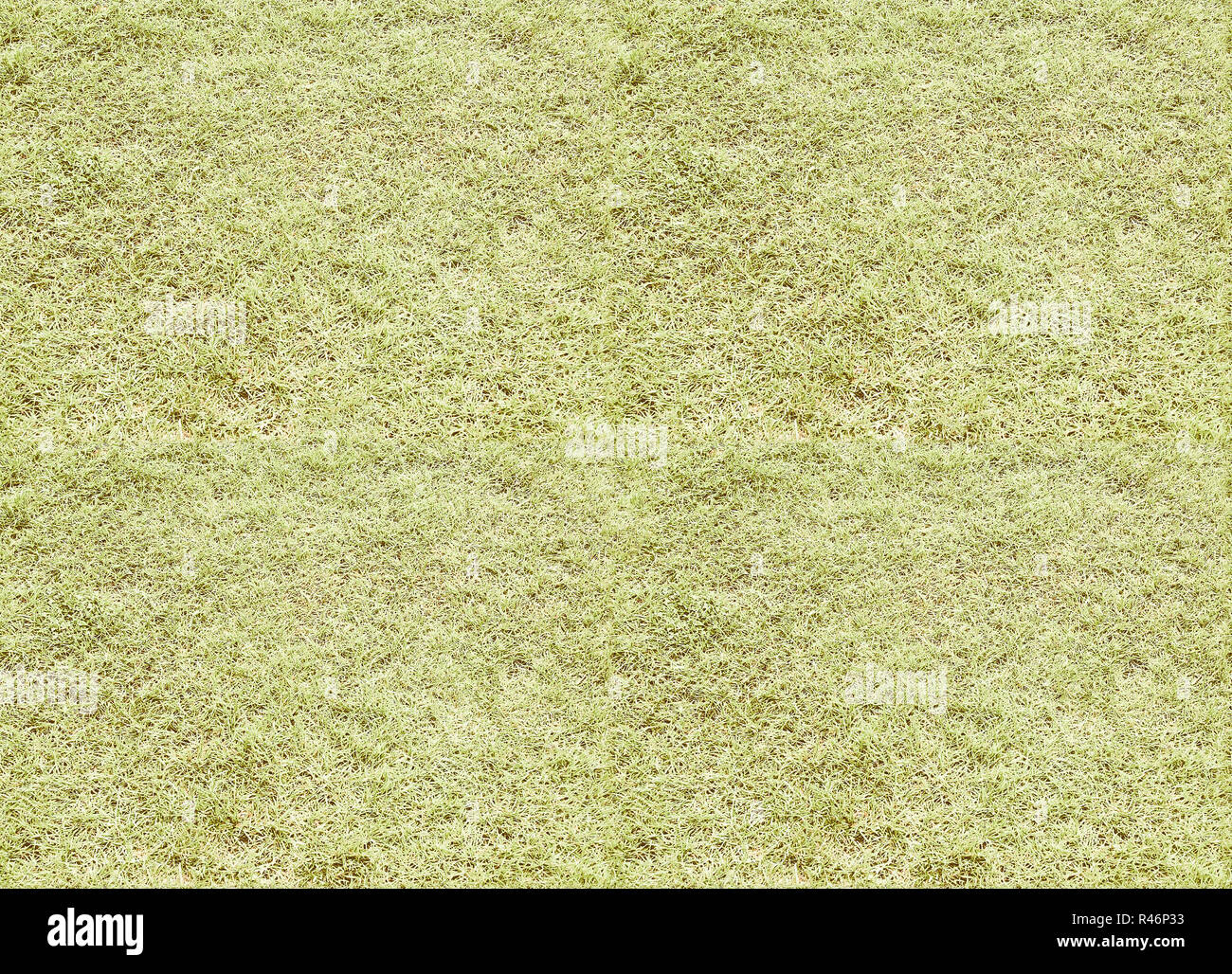 Retro looking Seamless tileable texture - green grass meadow Stock ...