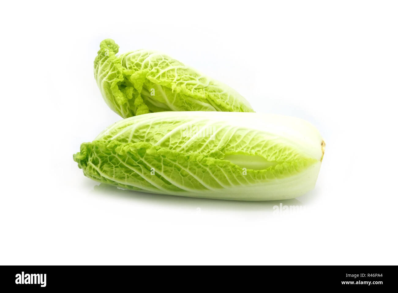 Wombok hi-res stock photography and images - Alamy