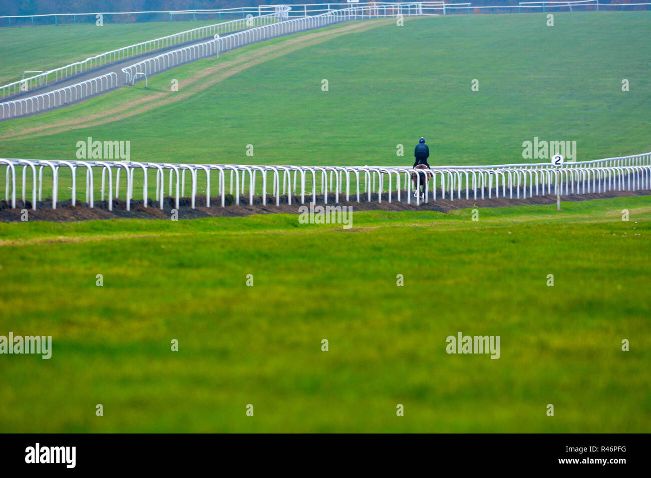 Exercising horse polly track with furlong marker poles Stock Photo - Alamy