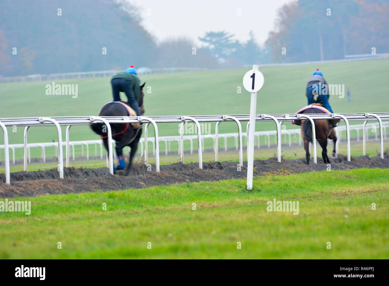 Exercising horse polly track with furlong marker poles Stock Photo - Alamy