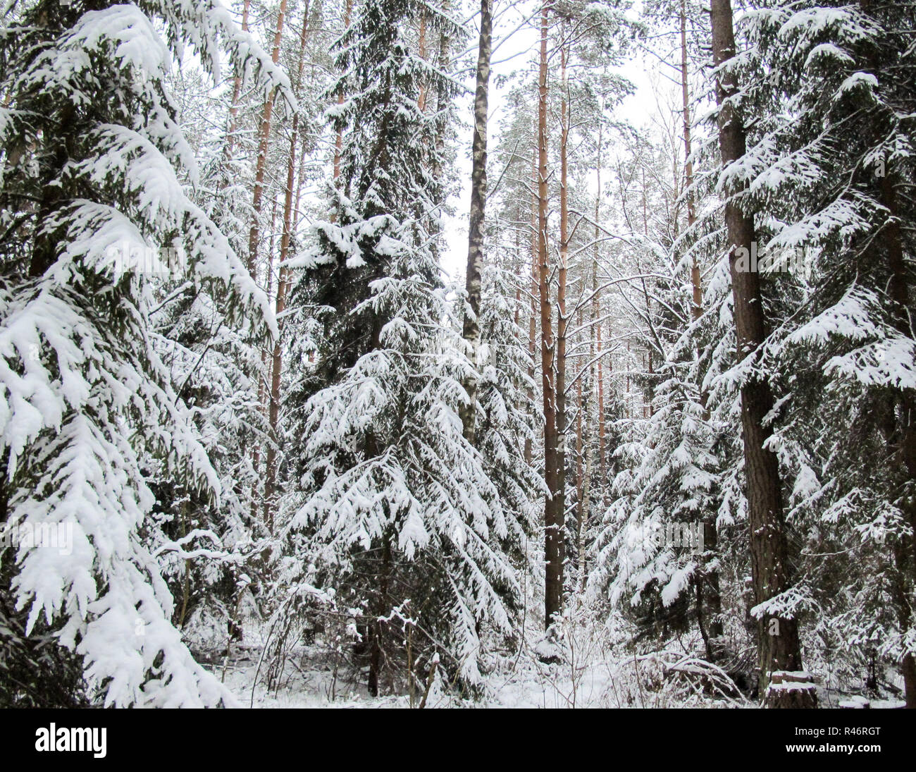 Mystery cold hi-res stock photography and images - Alamy