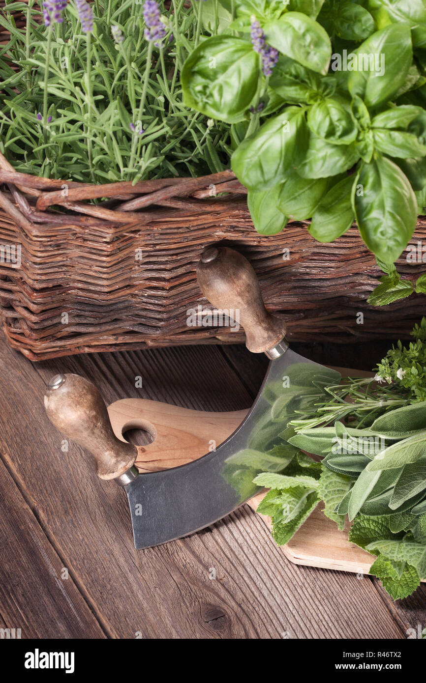 preparing fresh herbage for cooking Stock Photo - Alamy