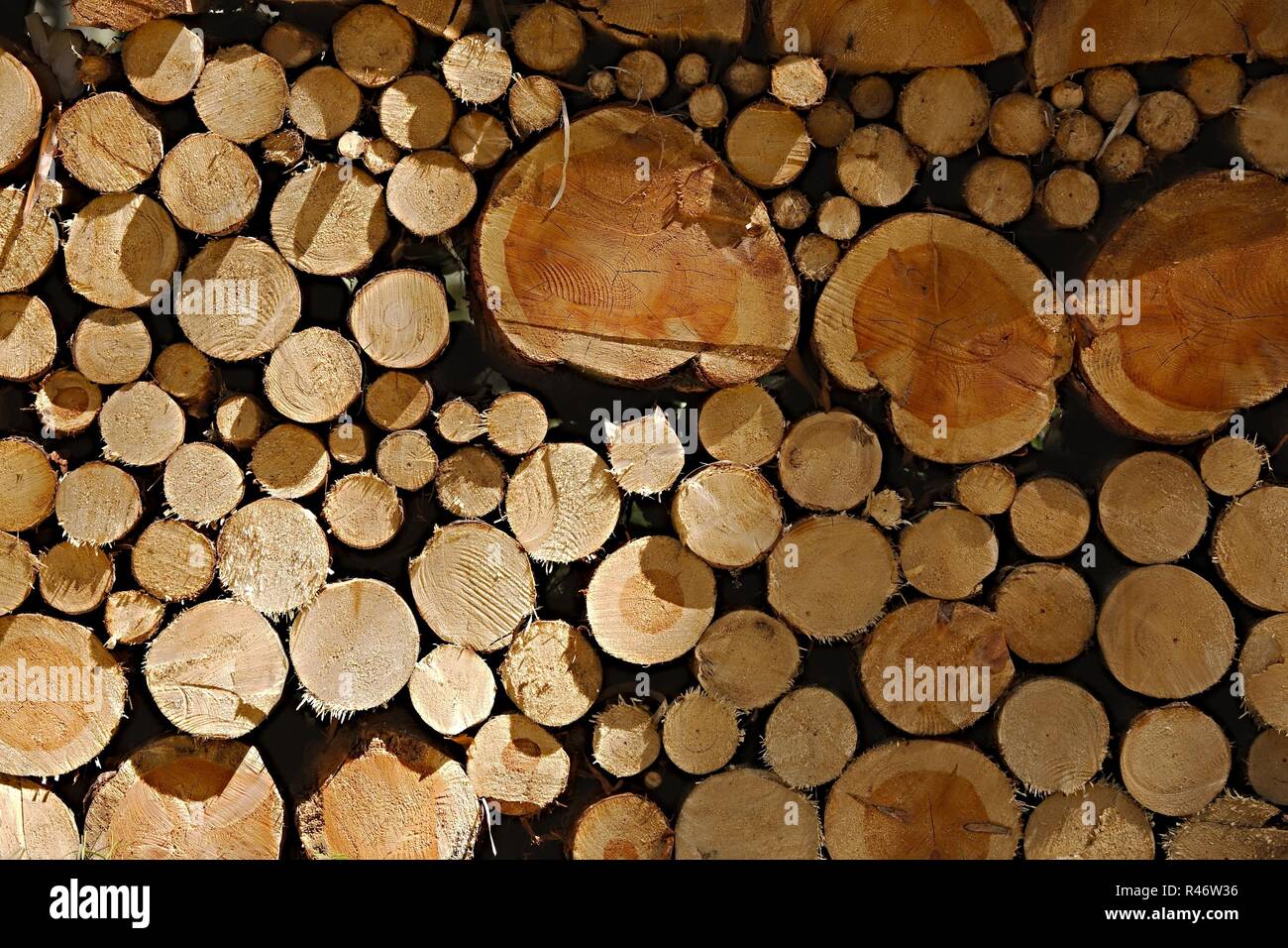 Large logpile hi-res stock photography and images - Alamy