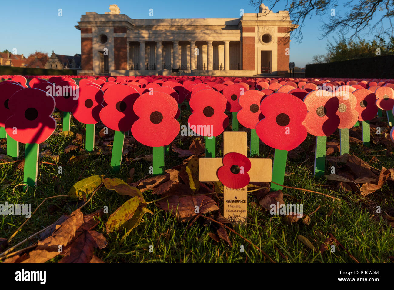 Mass of remembrance poppies marking centenary of First World War ...