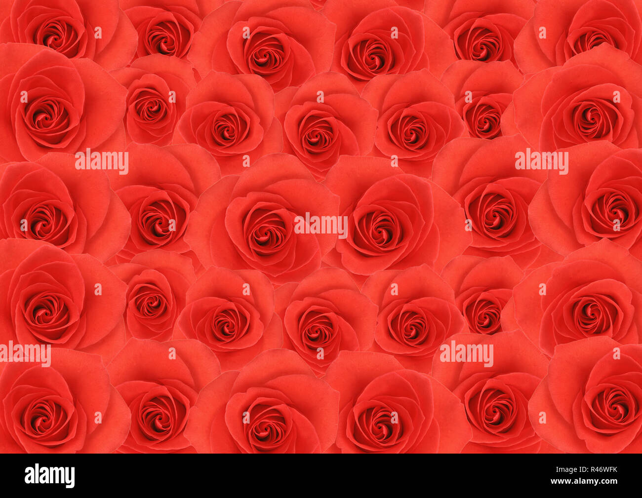 Red rose flowers textured background Stock Photo - Alamy