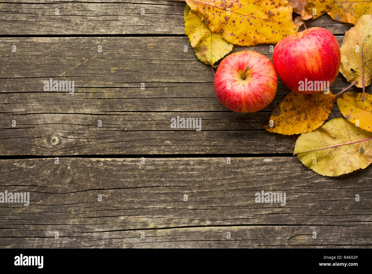 autumn apples and leaves Stock Photo - Alamy