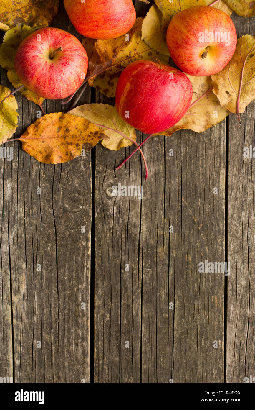 autumn apples and leaves Stock Photo - Alamy