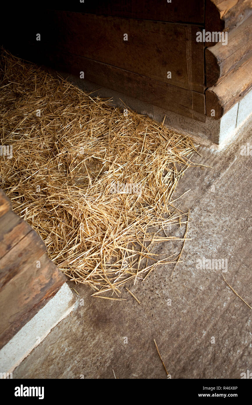 Empty stable straw hi-res stock photography and images - Alamy