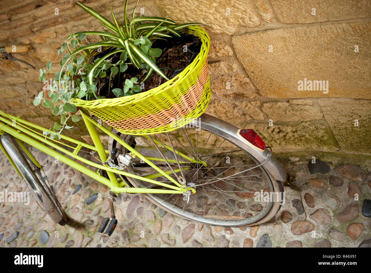 Plants and bike Stock Photo - Alamy