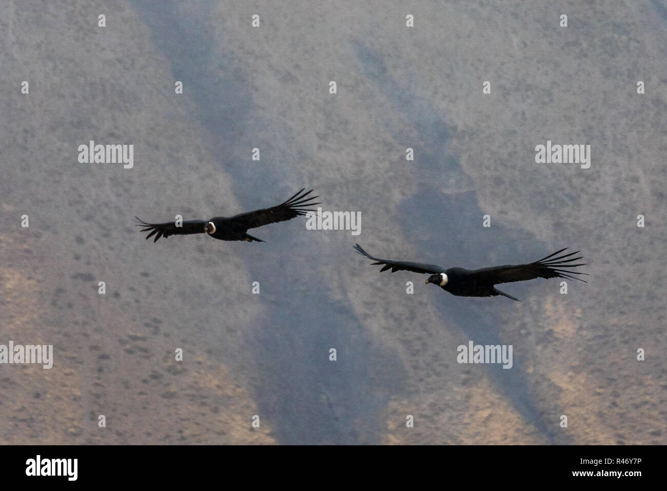 Two mountain patagonia hi-res stock photography and images - Alamy