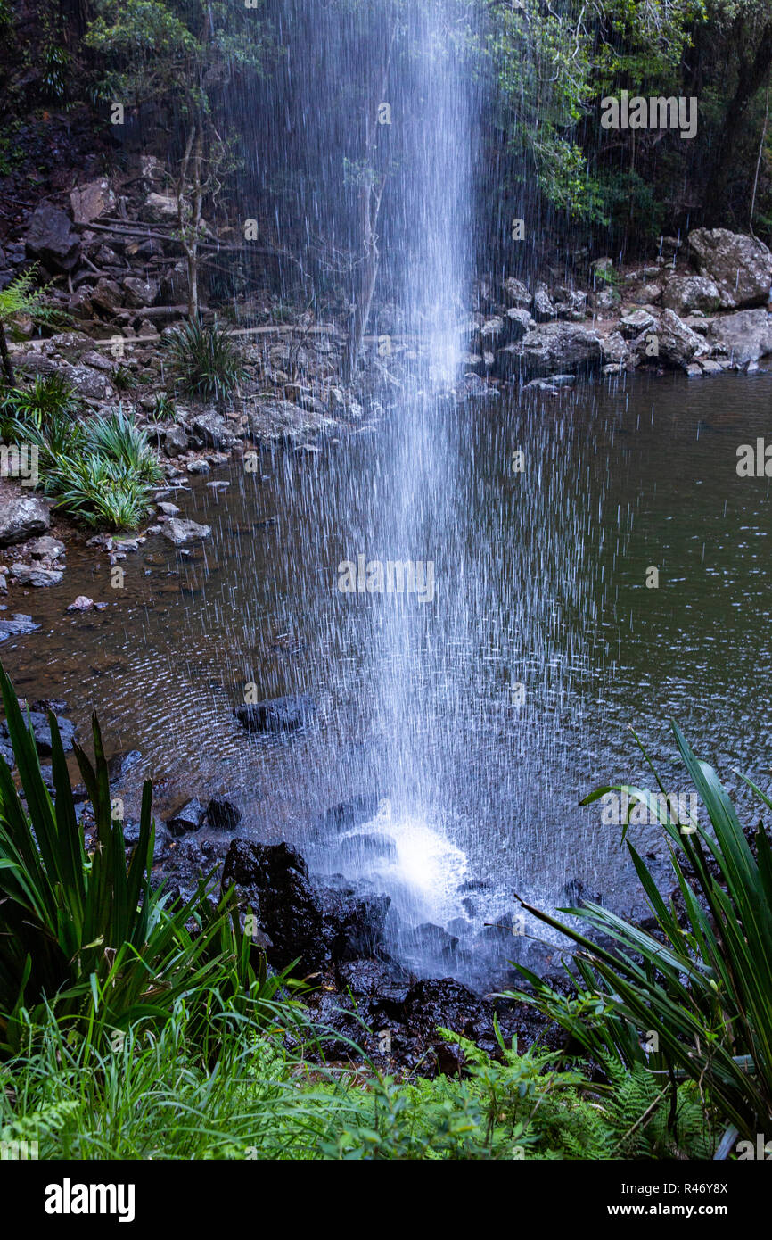 Twin falls waterfalls on the twin falls circuit in Springbrook national ...