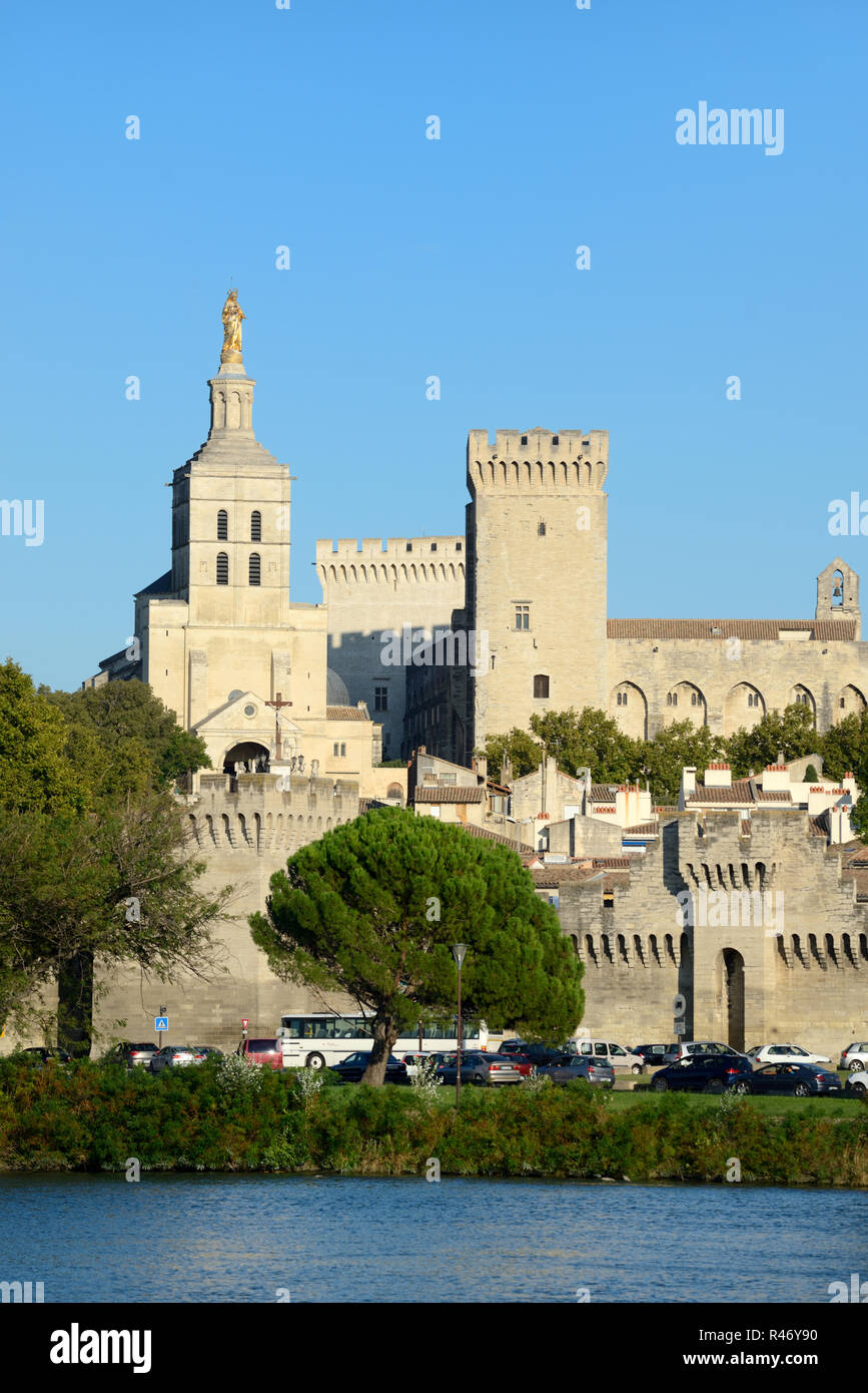 Avignon Cathedral, Notre Dame des Doms Church, & Medieval Tower, Tour ...