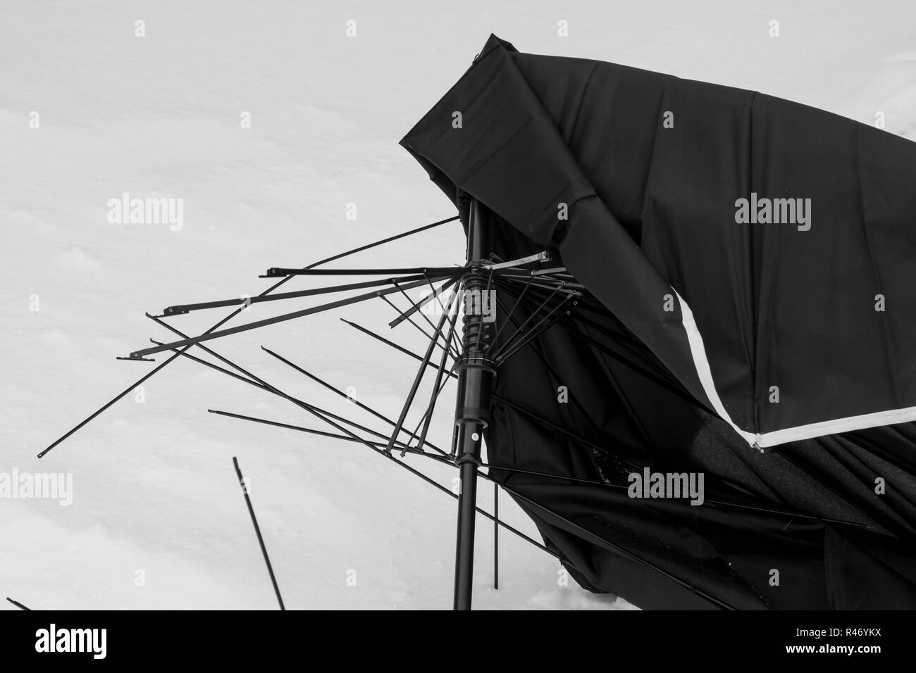 Wind Damaged Broken Umbrella High Resolution Stock Photography and ...