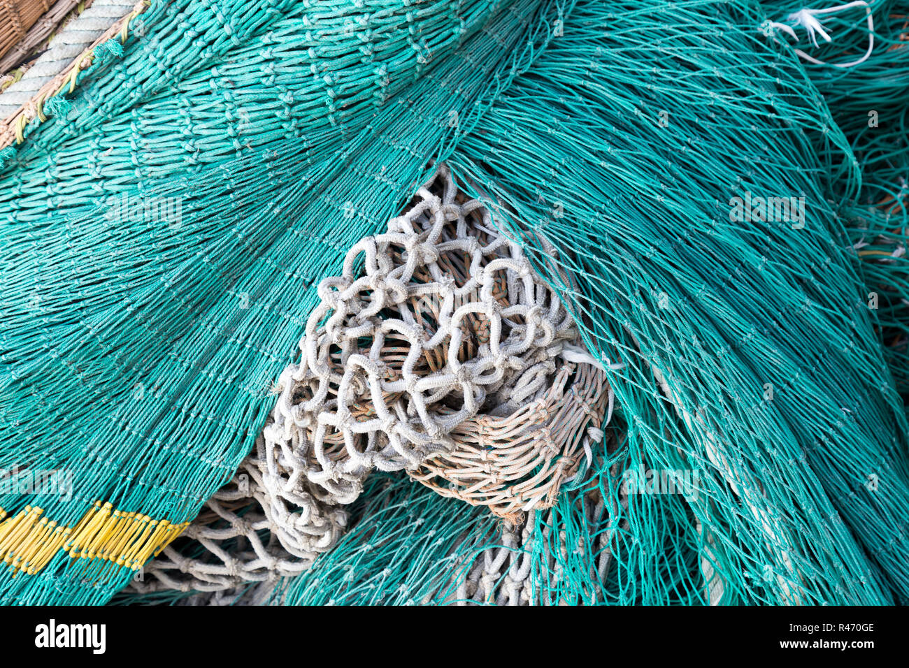 Anaesthetic fish hi-res stock photography and images - Alamy