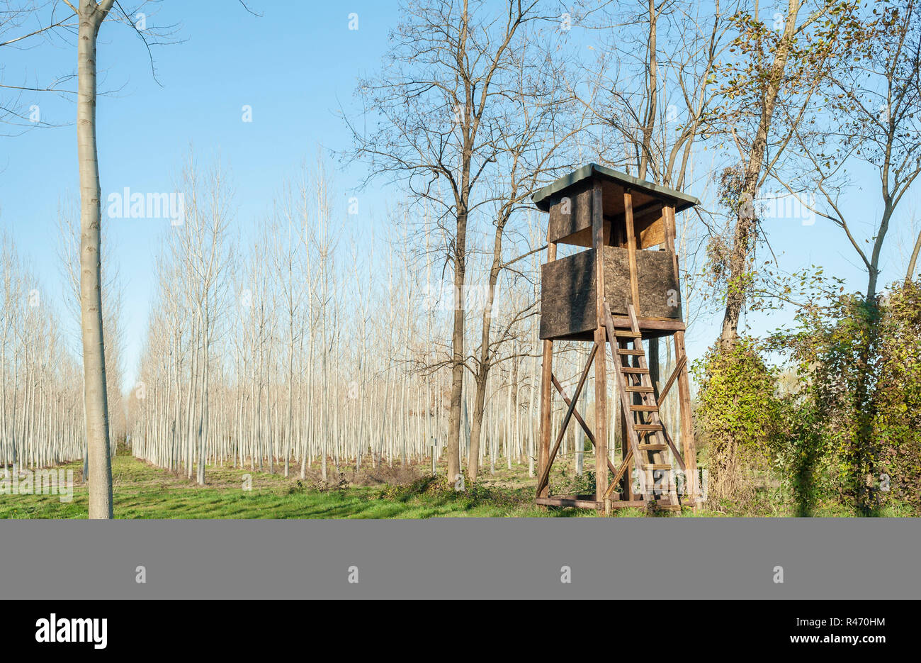 Observer platform hi-res stock photography and images - Alamy