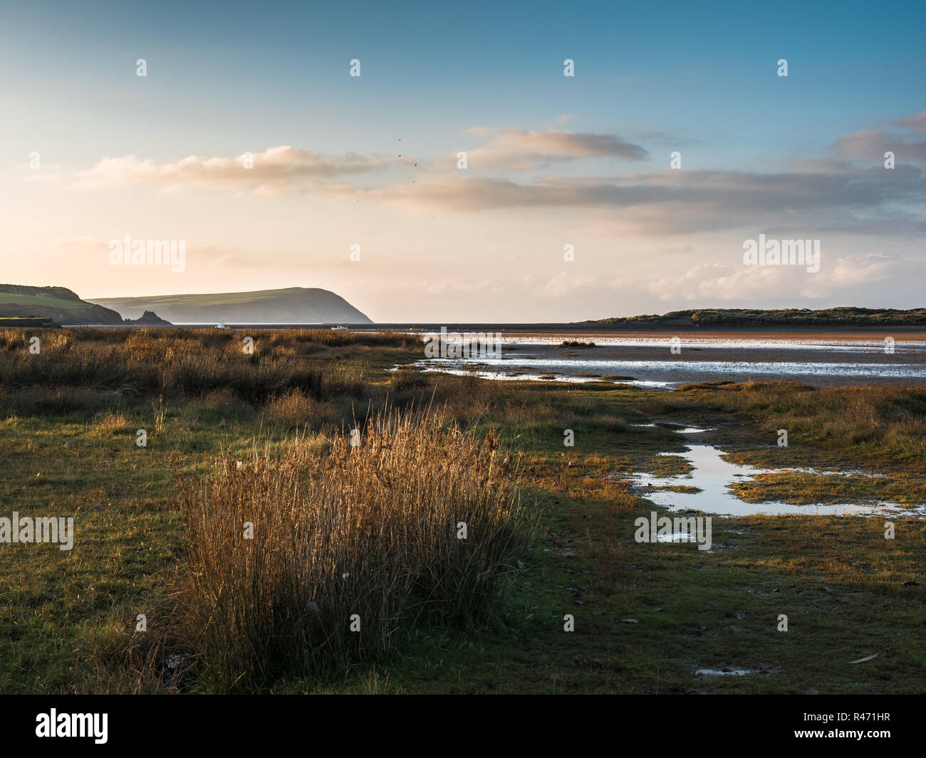 At the river nevern estuary hi-res stock photography and images - Alamy