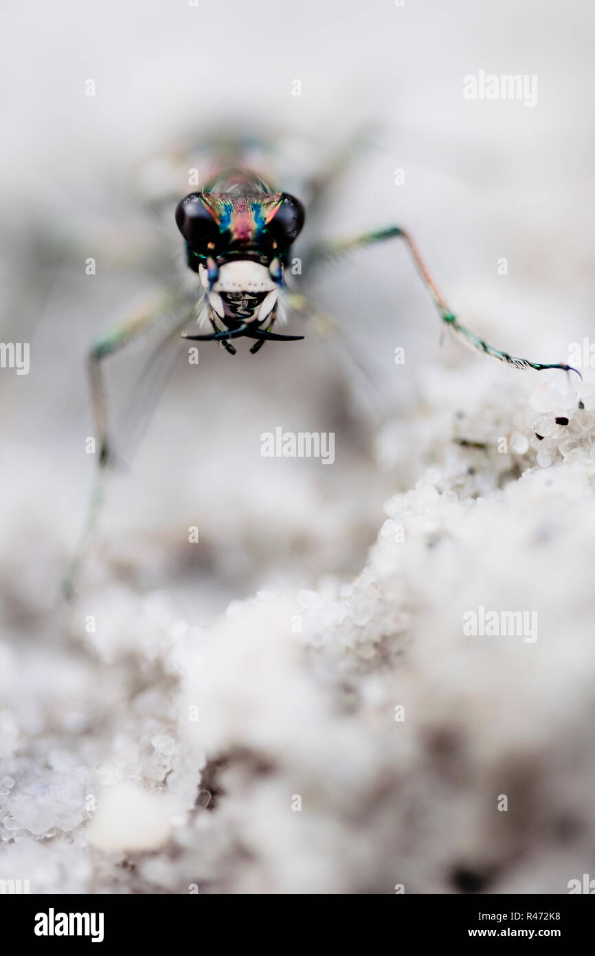 Alien with mouth protection hi-res stock photography and images - Alamy