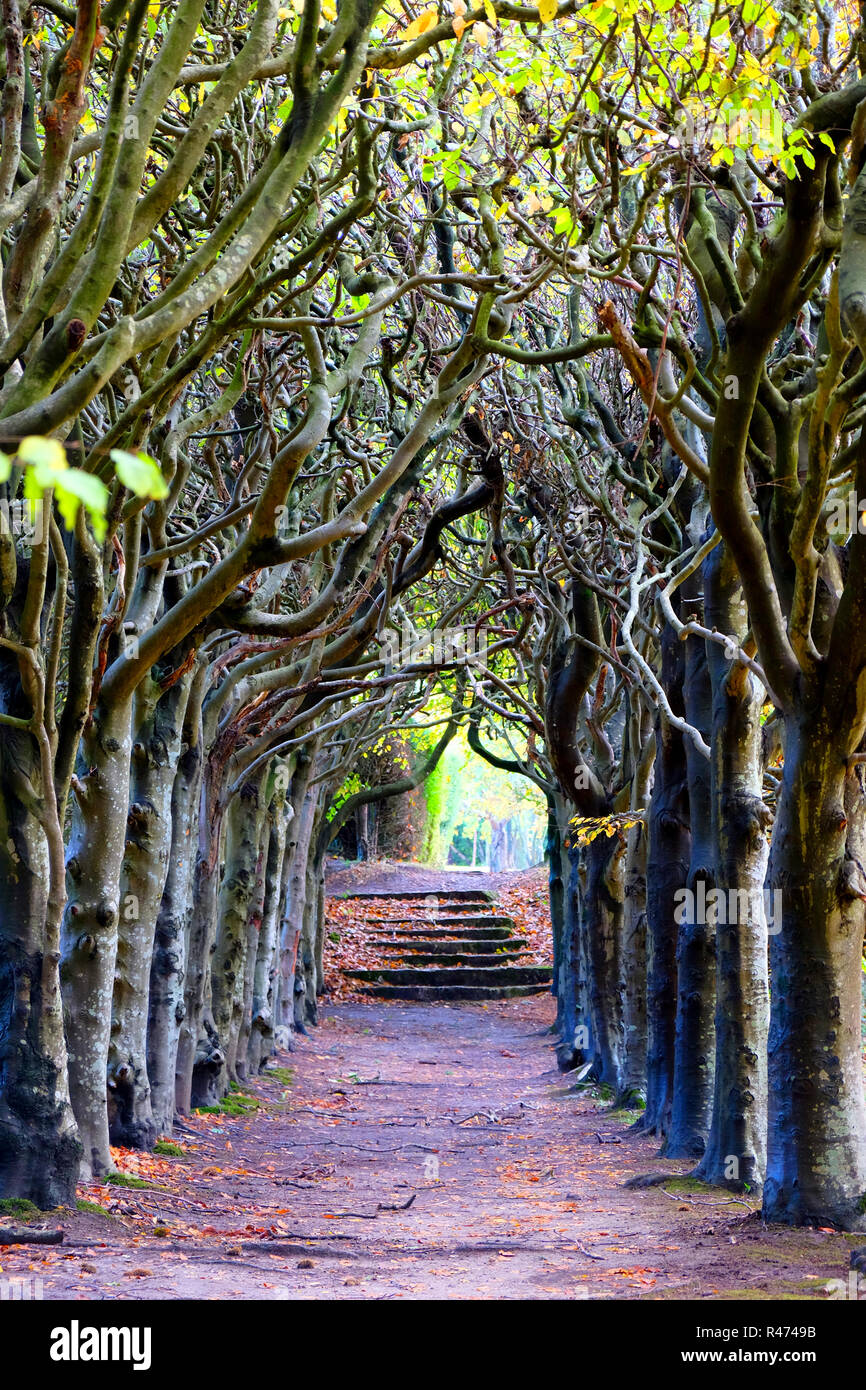 Beautiful garden arch way uk hi-res stock photography and images - Alamy