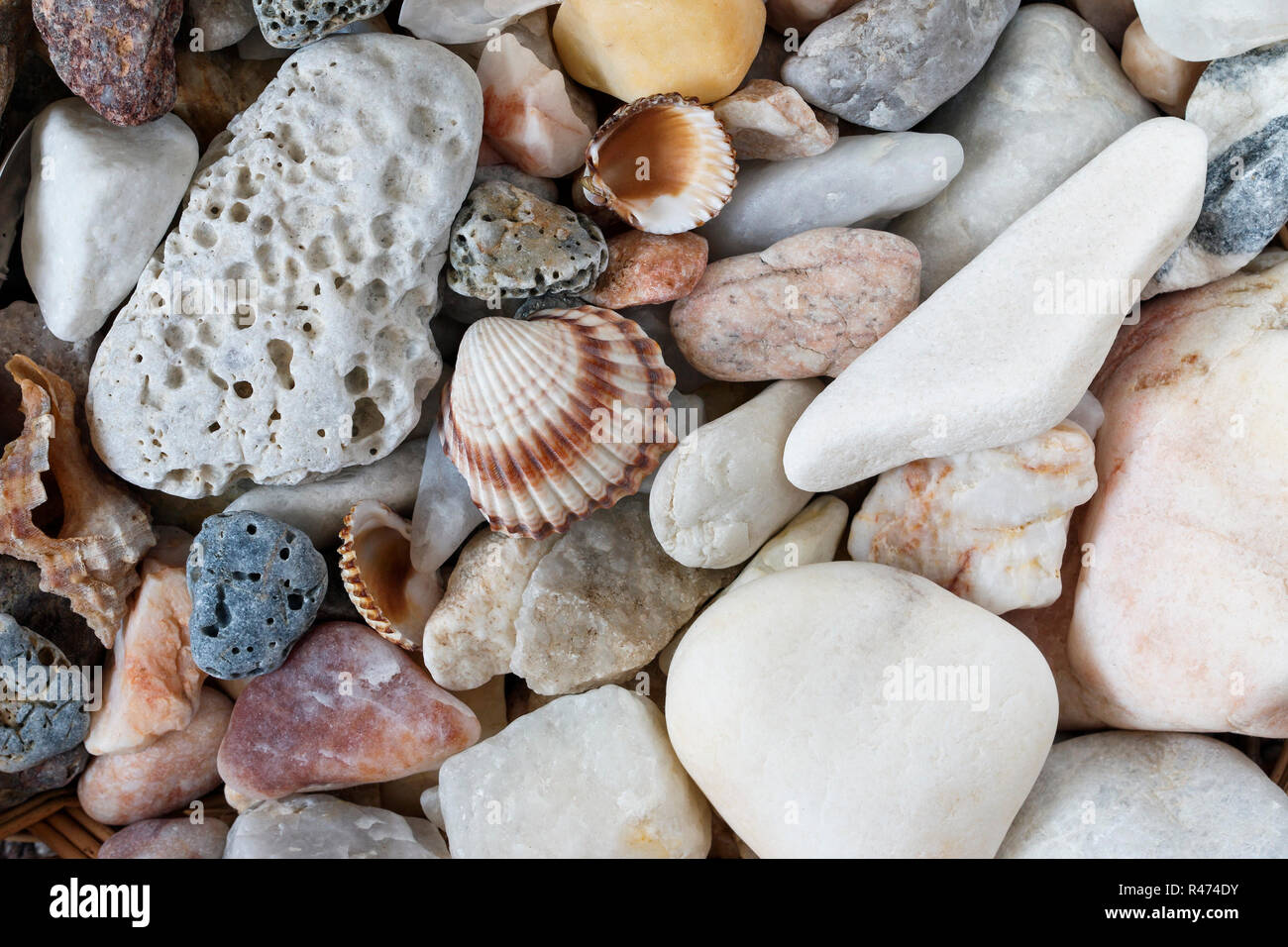 Pile pebbles sea shell hi-res stock photography and images - Alamy