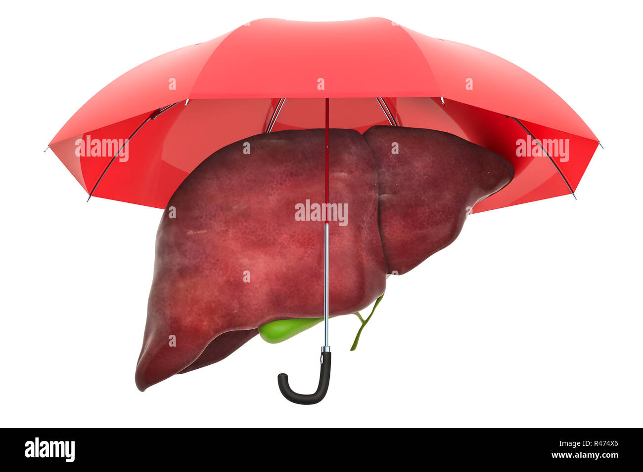 Human liver under umbrella, protect concept. 3D rendering isolated on ...