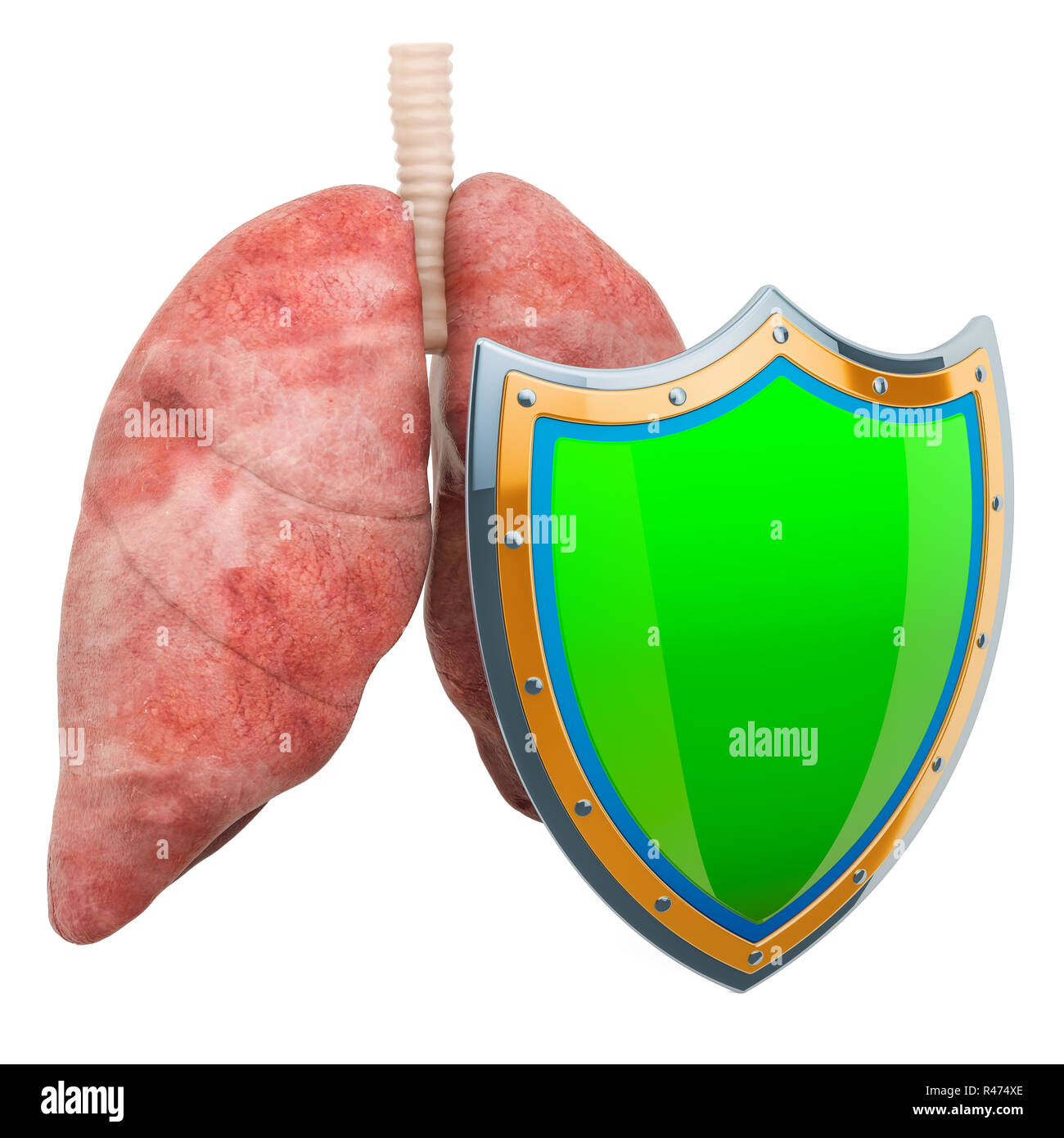 Human lungs with shield, lungs protect concept. 3D rendering isolated ...