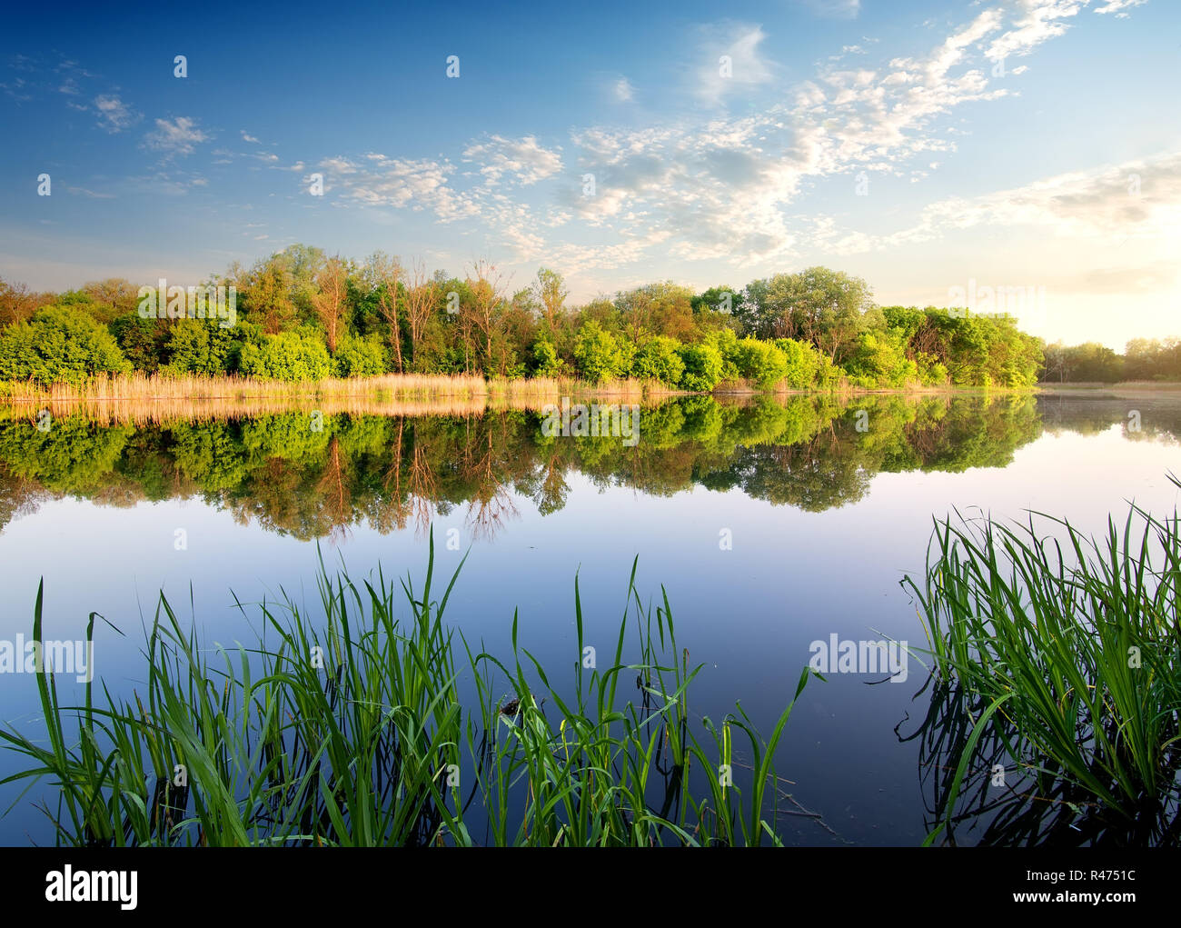 Reflection of forest in river Stock Photo - Alamy
