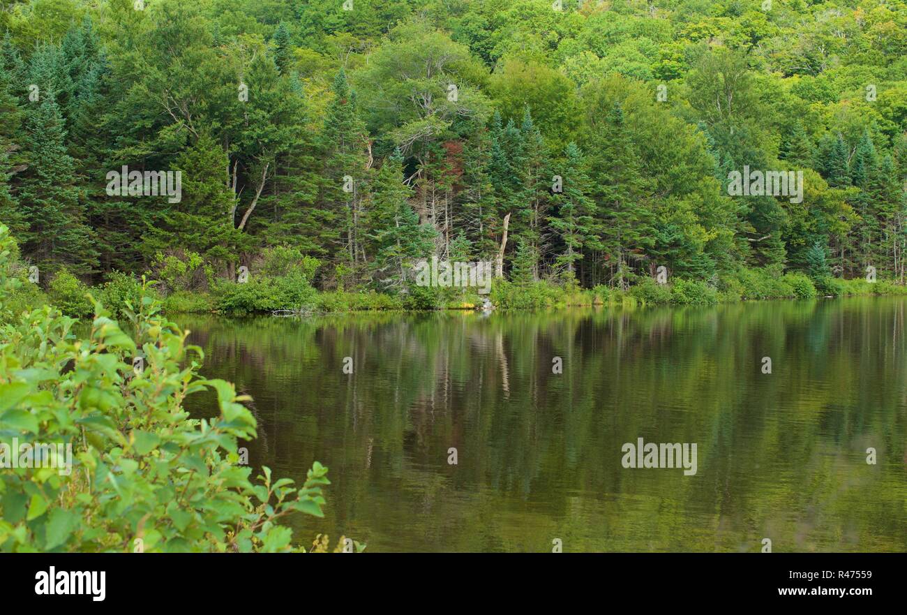 Willeys slide hi-res stock photography and images - Alamy