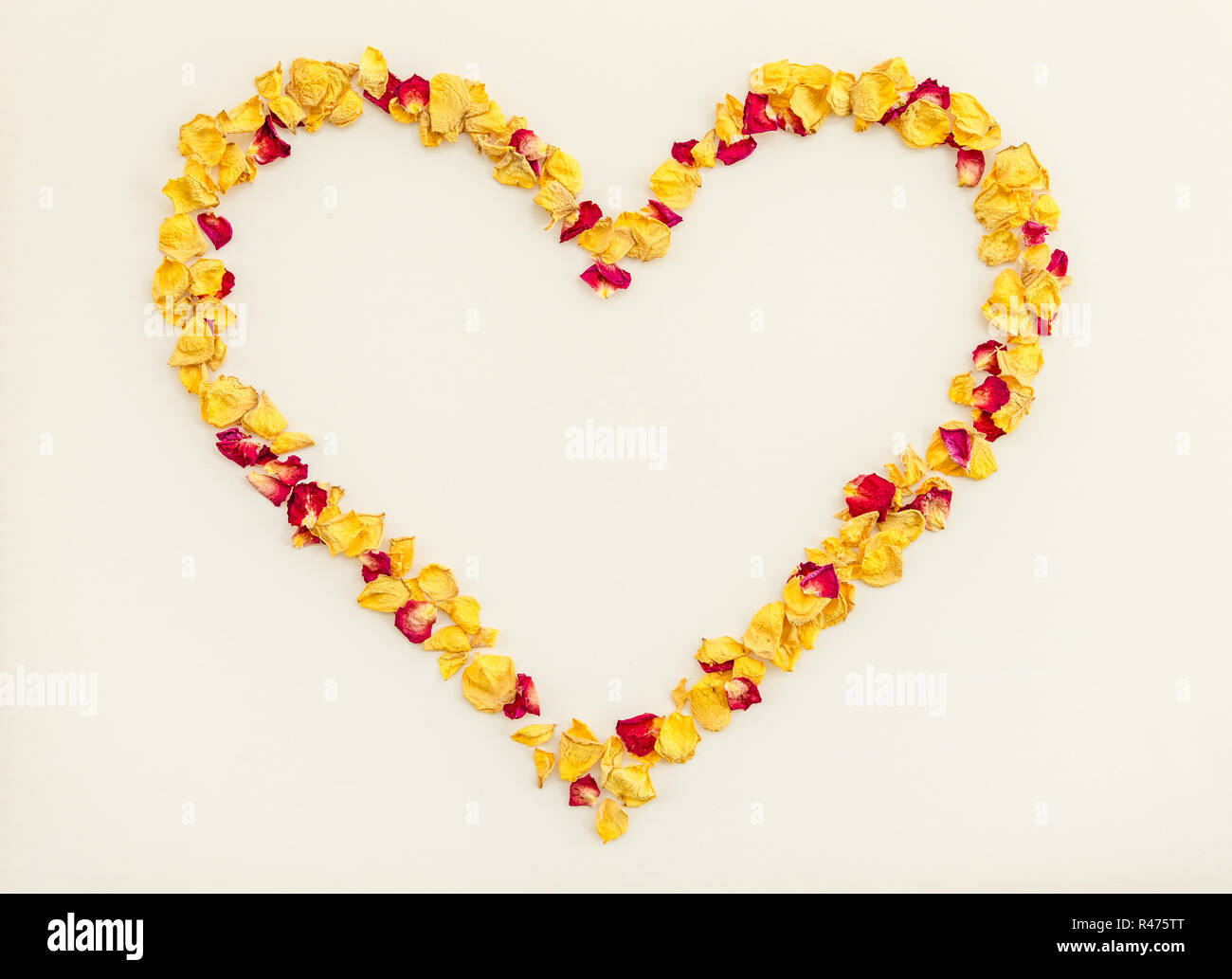 Heart frame made of yellow and red rose petals, on light pastel ...