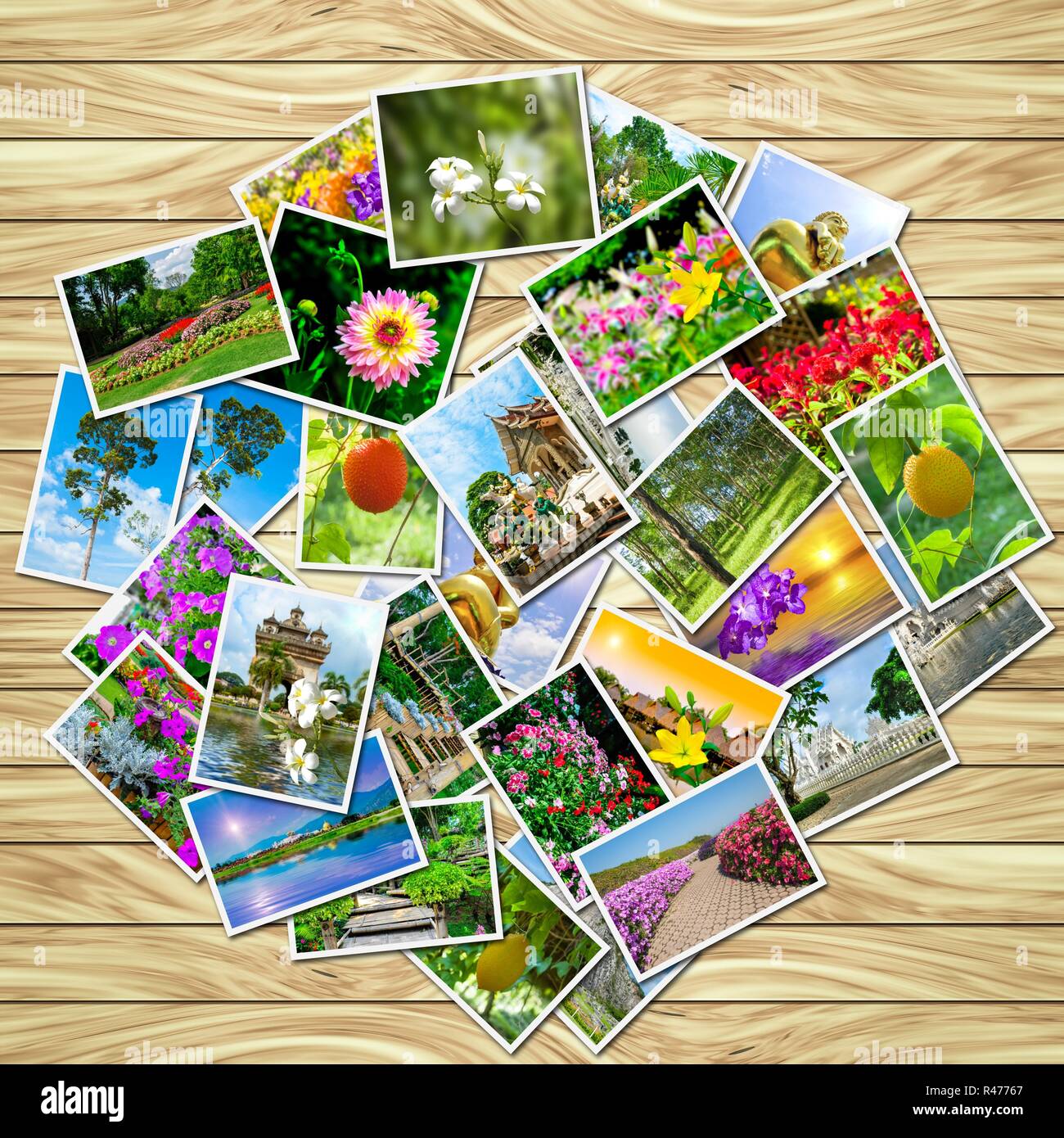 A stack of photographs Stock Photo - Alamy
