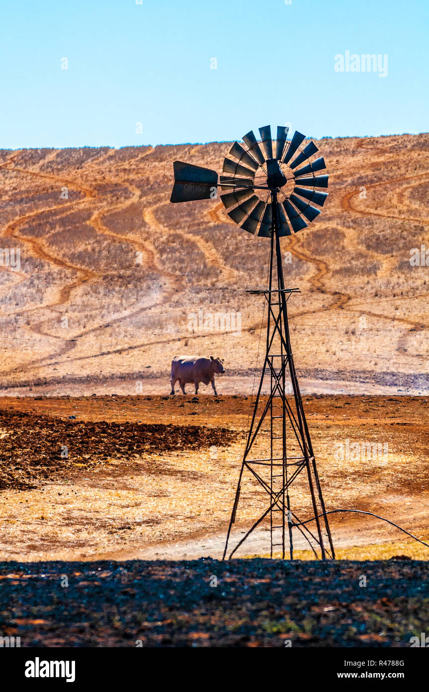 Environment habitats hi-res stock photography and images - Alamy