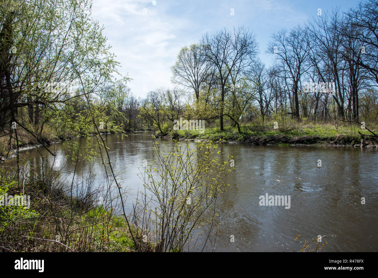 West Branch of the DuPage River with the native forest at McDowell ...