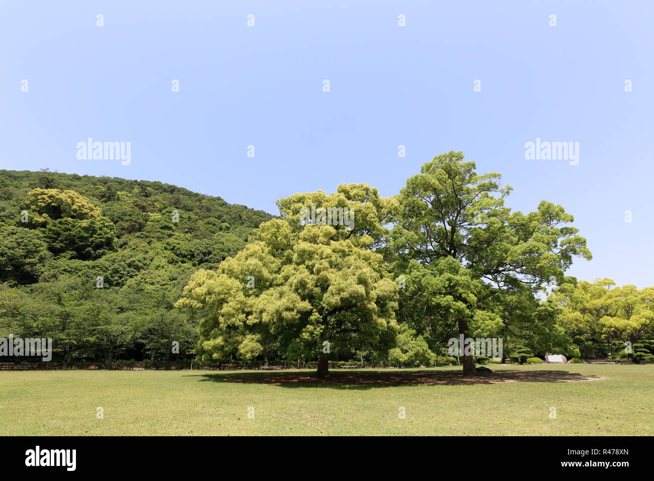 Publicness day hi-res stock photography and images - Alamy