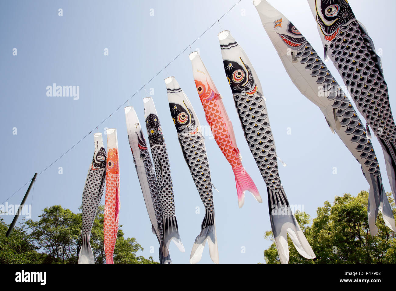 Japanese carp kite streamer Stock Photo - Alamy