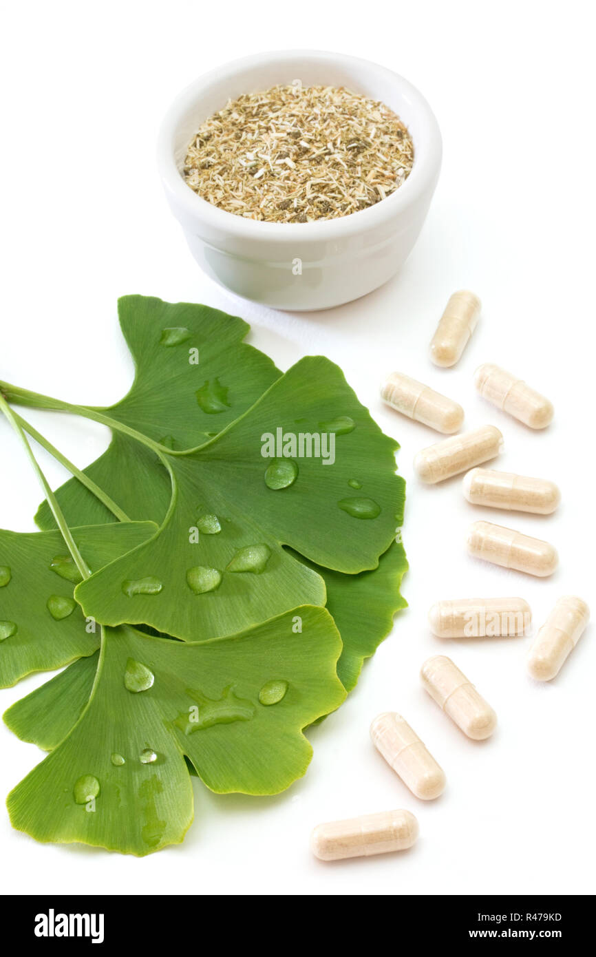 ginkgo capsules and dried ginkgo Stock Photo - Alamy