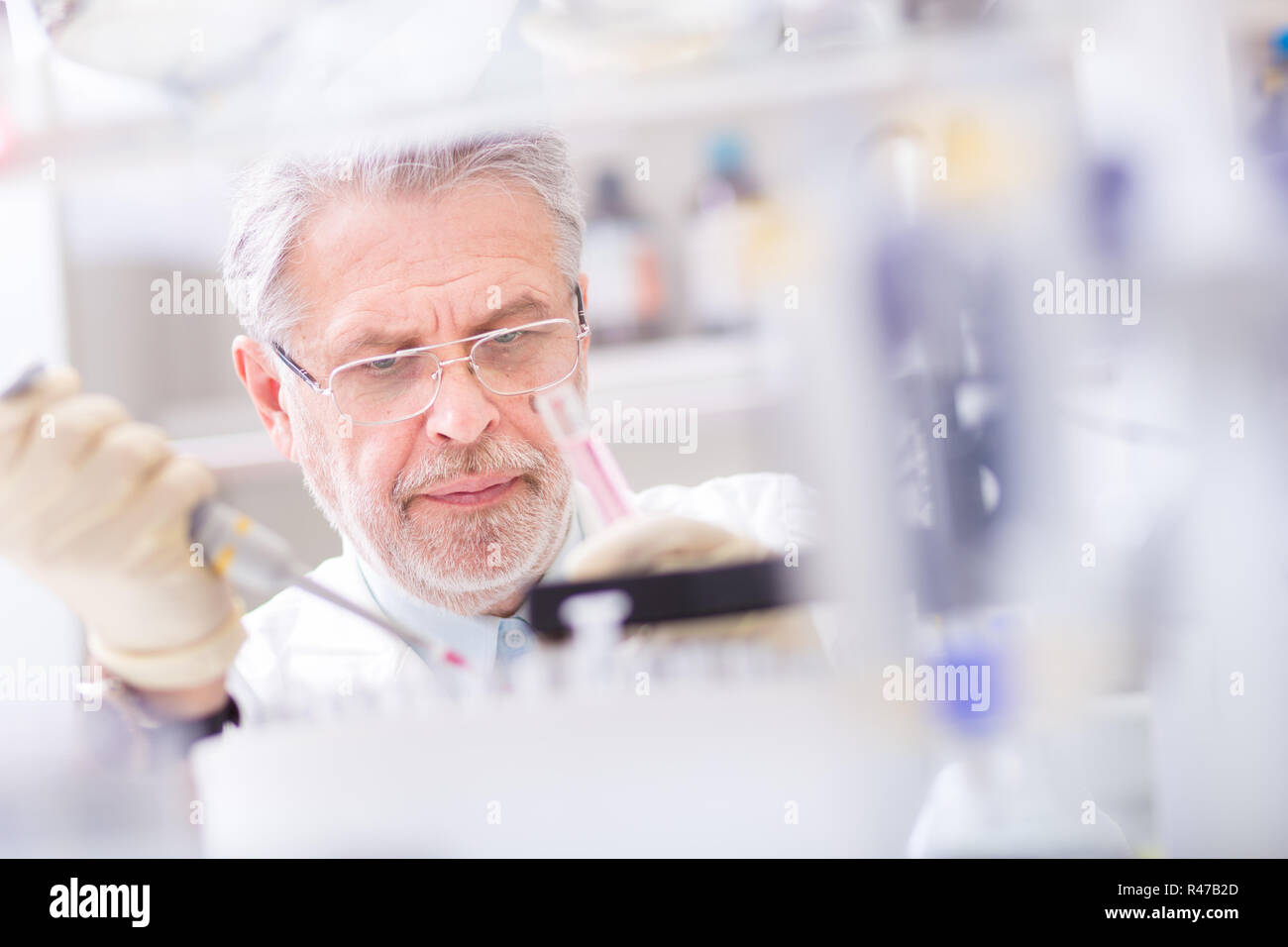 Senior male life scientist hi-res stock photography and images - Alamy