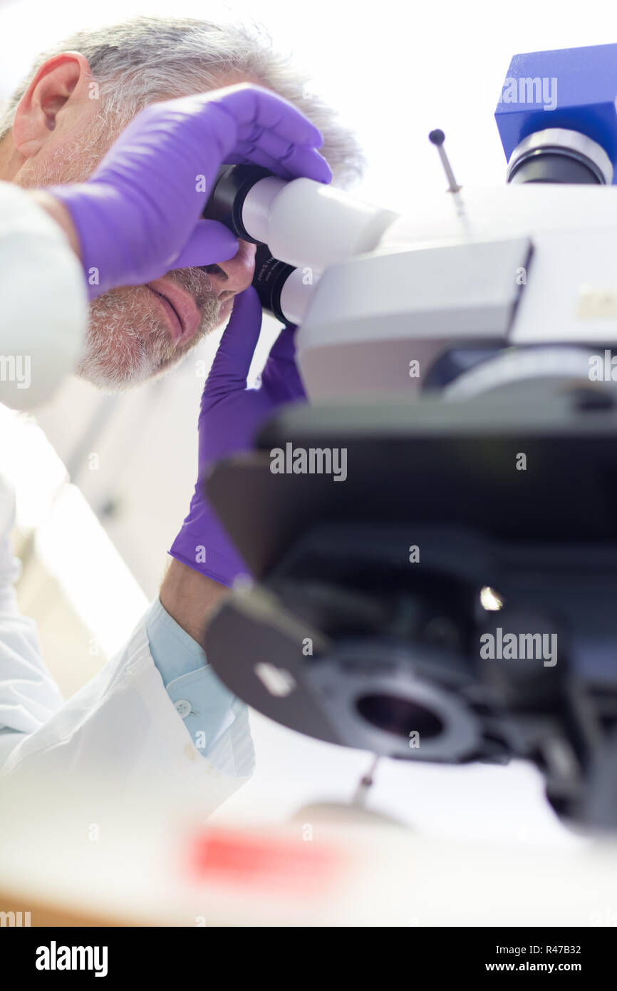 Microscoping hi-res stock photography and images - Alamy